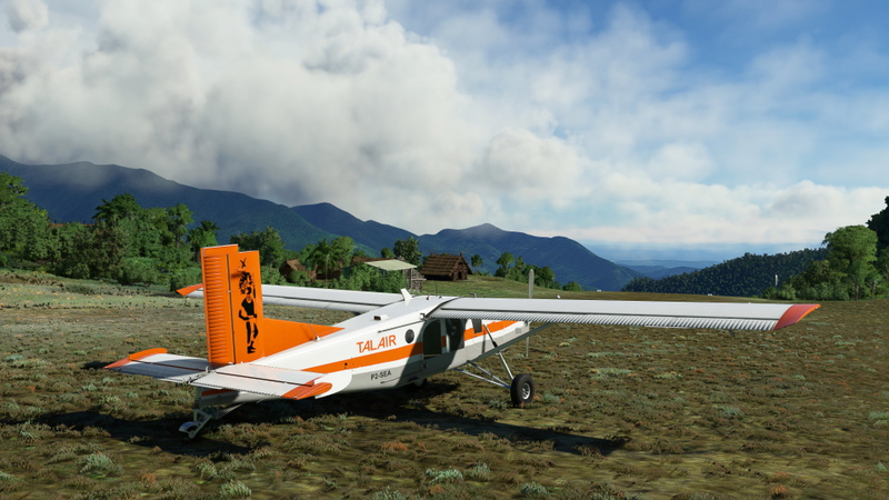 Pilatus PC-6 Porter Liveries for Microsoft Flight Simulator | MSFS