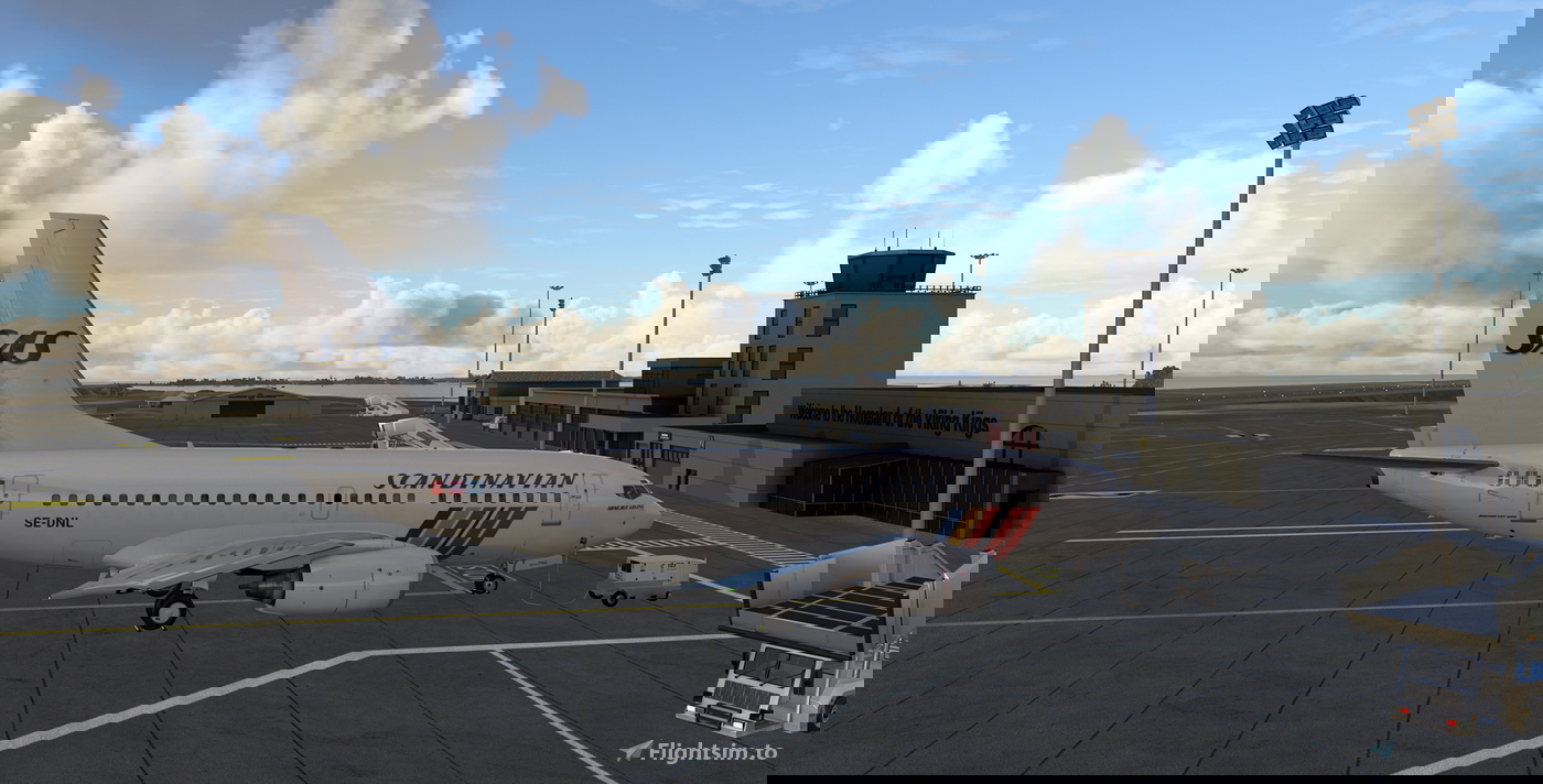 PMDG 737-600 paint for Microsoft Flight Simulator in SAS SE-DNL (Anno ...