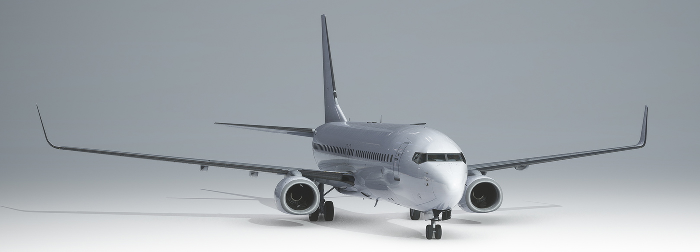 PMDG 737-800 White (Unpainted BW & SSW) for Microsoft Flight Simulator ...