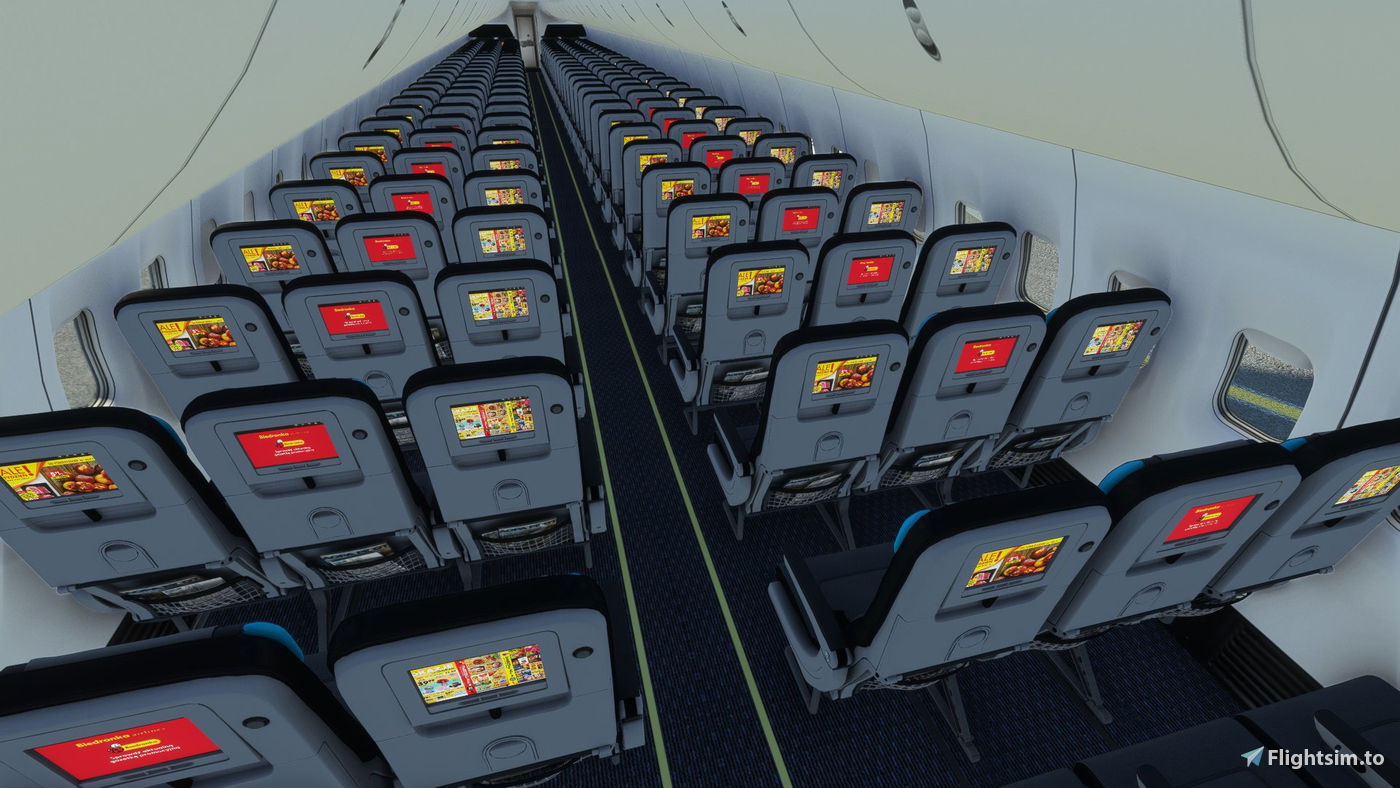 PMDG 737-800 Biedronka Airlines [Fictional] for Microsoft Flight ...
