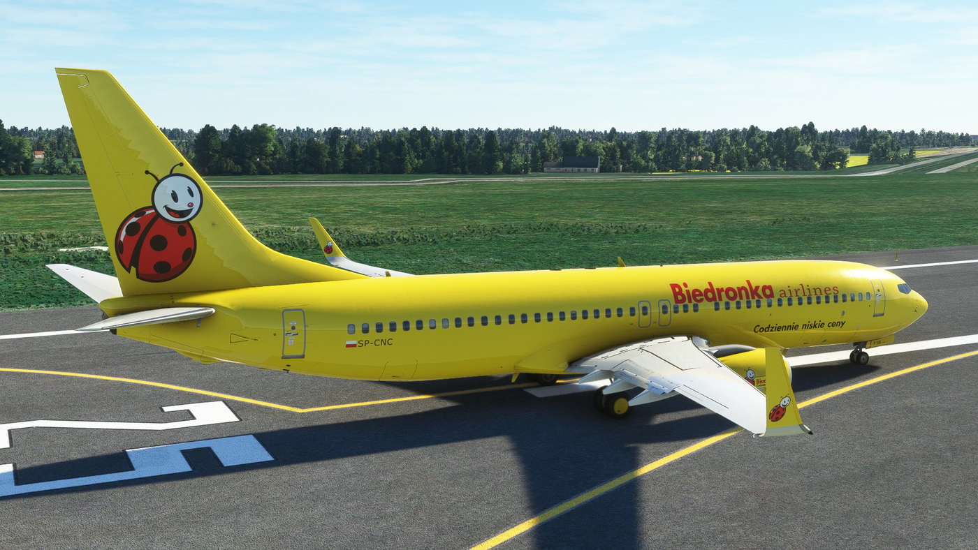 PMDG 737-800 Biedronka Airlines [Fictional] for Microsoft Flight ...