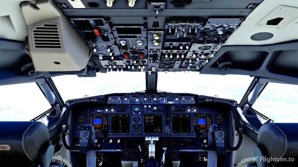 PMDG 737-800 Custom Views for Microsoft Flight Simulator | MSFS