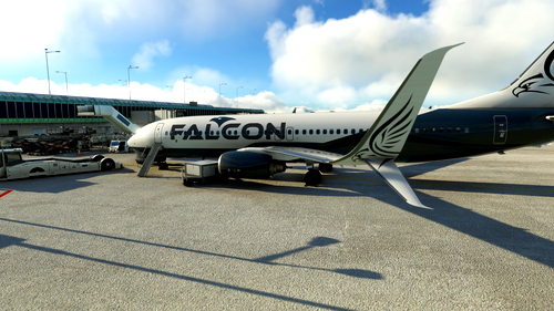 PMDG 737-800 Falcon Airlines Pack » Microsoft Flight Simulator