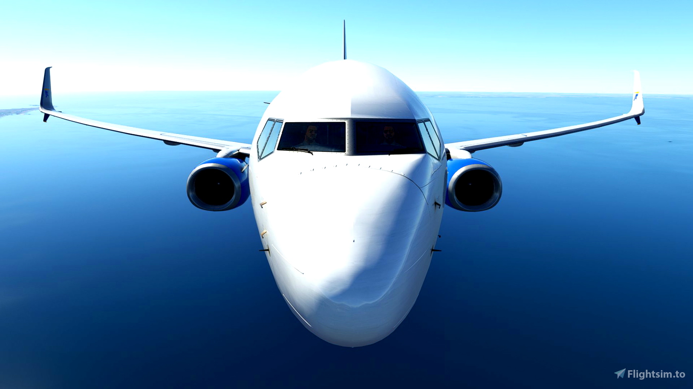 PMDG 737-800 Jet Time Fleet for Microsoft Flight Simulator | MSFS
