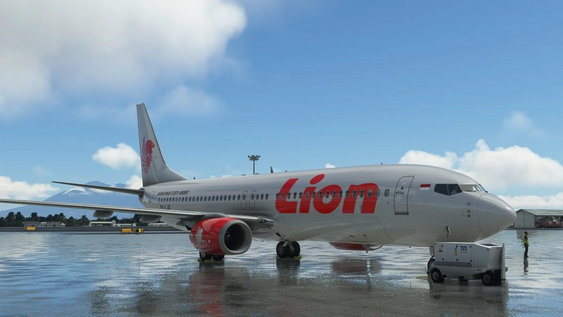 PMDG Boeing 737-800 Liveries for Microsoft Flight Simulator | MSFS | Flightsim.to