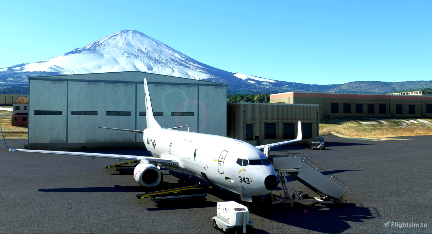 PMDG 737-800 P-8A of the Screaming Eagle's of VP-1 of NAS Whidbey Island, WA のために Microsoft ...