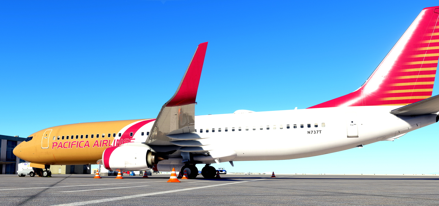 Liveries - PMDG Boeing 737-800 Add-Ons for Microsoft Flight Simulator ...