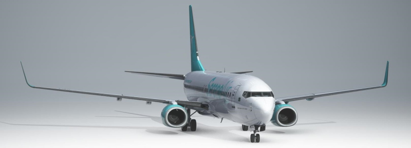 PMDG Boeing 737-800 Liveries for Microsoft Flight Simulator | MSFS