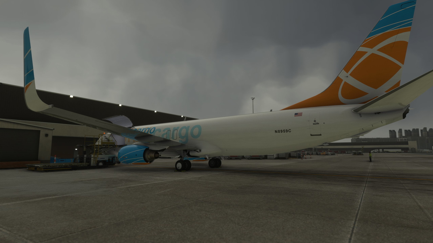 PMDG 737-800BDSF Orbit Cargo BW pour Microsoft Flight Simulator | MSFS