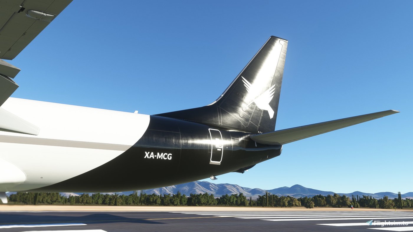 PMDG 737-800BDSF TUM Aerocarga (XA-MCG) pour Microsoft Flight Simulator ...