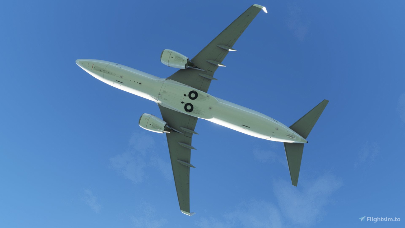 PMDG 737-800BDSF w/ cargo Lufthansa Cargo - Natural beauty (D-ALFJ) for ...