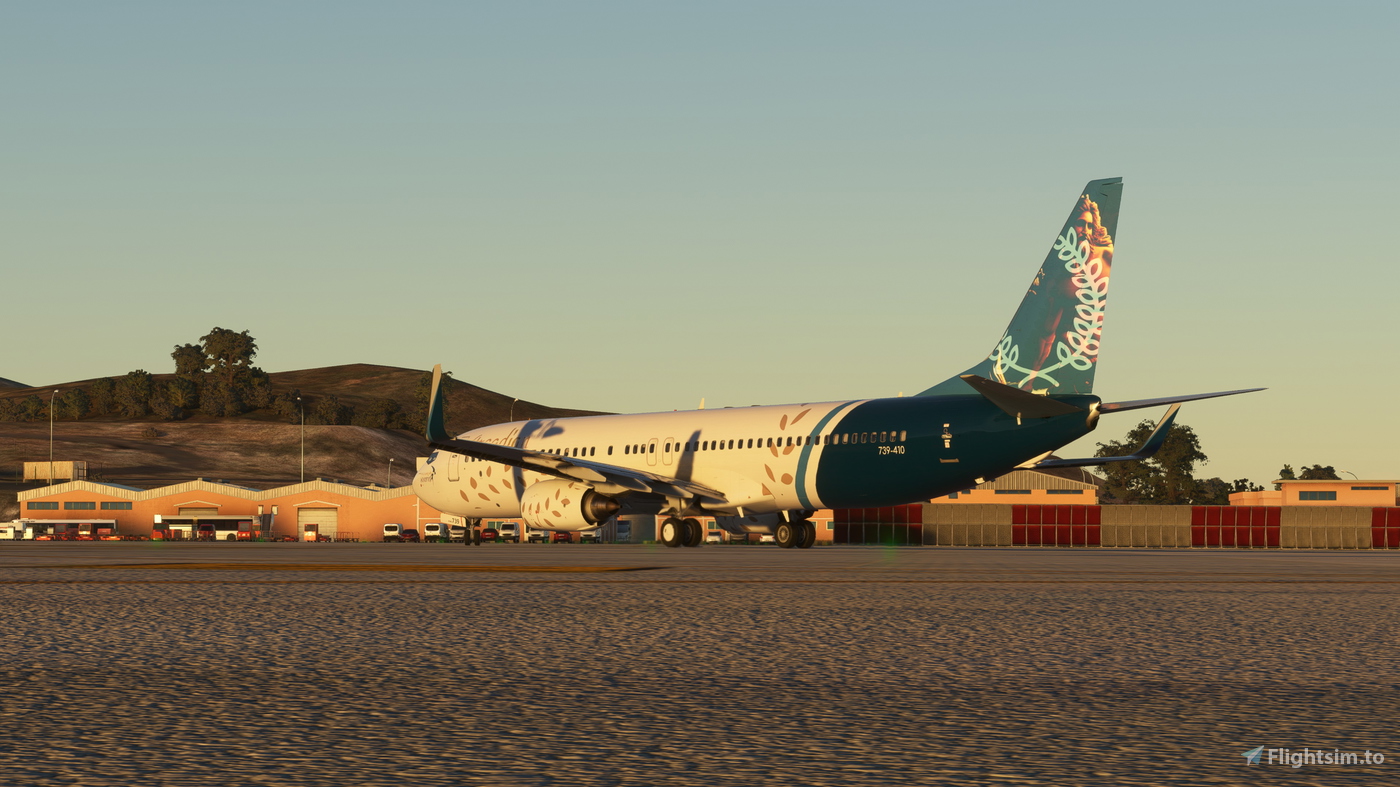 PMDG 737-900 | Arcadian Airways | Virtual Airline for Microsoft Flight ...