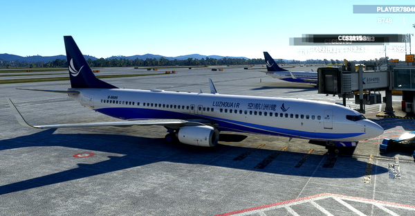 PMDG-737-900-ER-CES-东方航空 for Microsoft Flight Simulator | MSFS