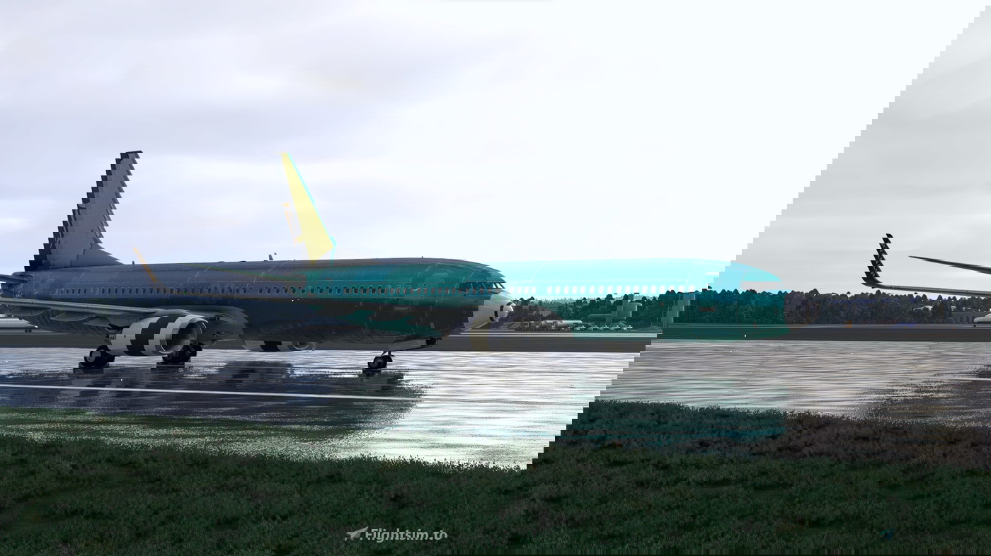 PMDG 738 Ryanair Factory Rollout (Blended Winglets) for Microsoft ...