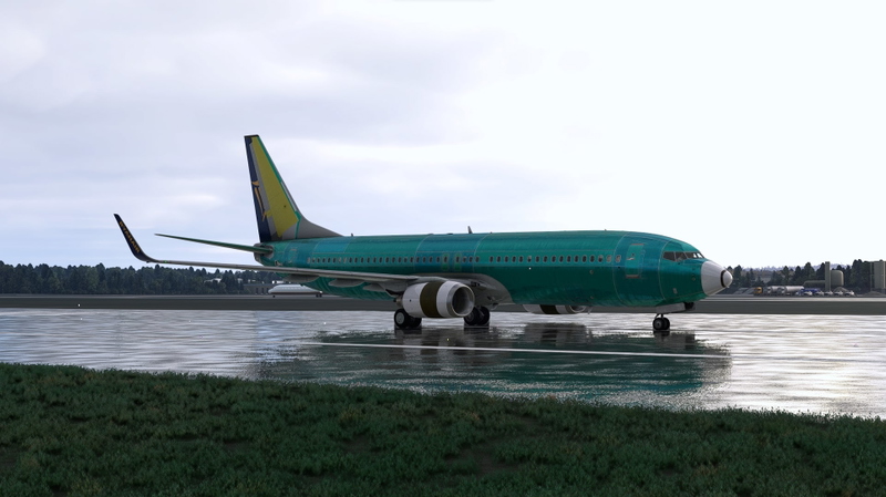 PMDG Boeing 737-800 Liveries for Microsoft Flight Simulator | MSFS ...