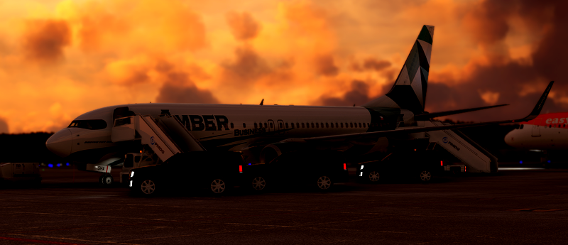 PMDG Boeing 737-800 Liveries for Microsoft Flight Simulator | MSFS ...