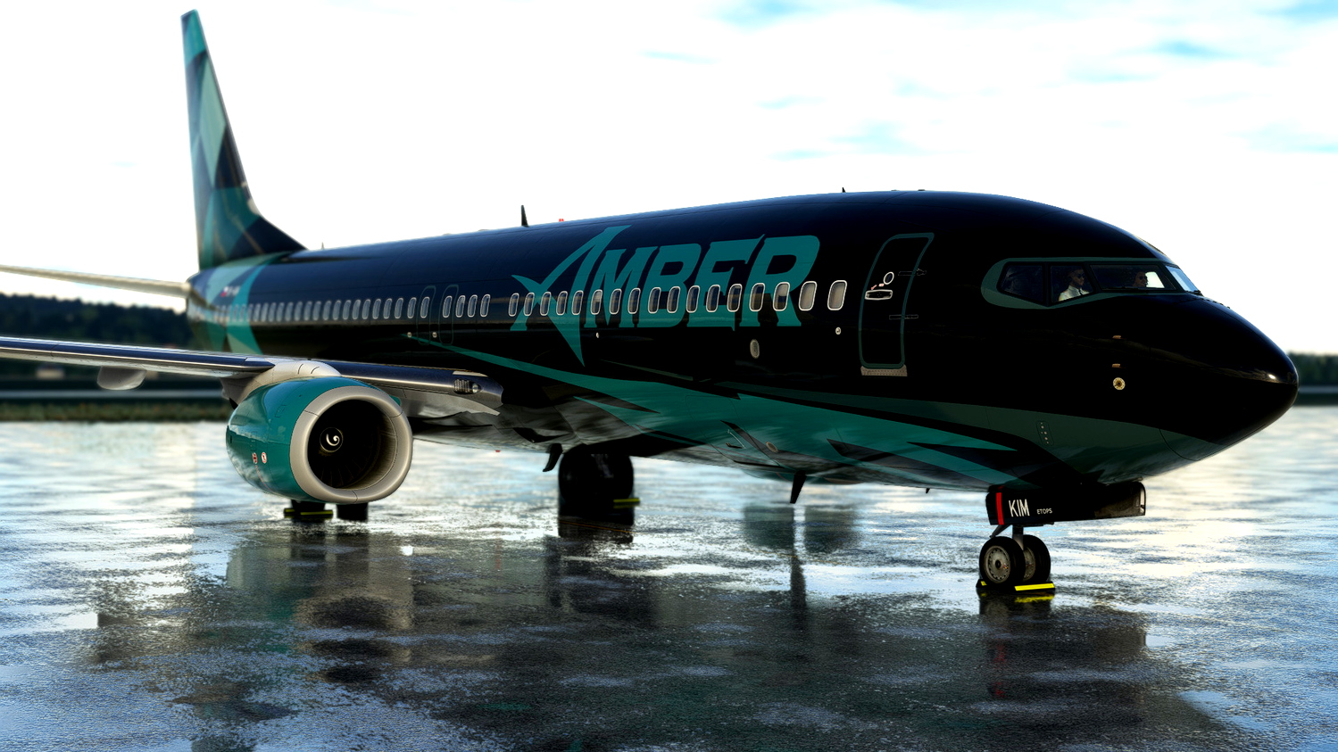 Liveries - PMDG Boeing 737-800 Add-Ons for Microsoft Flight Simulator ...