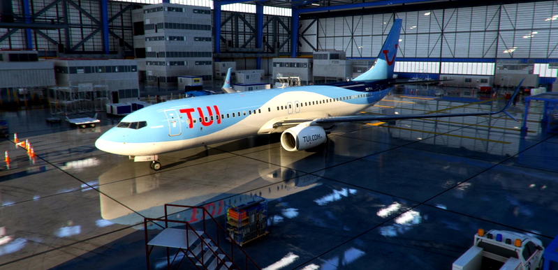 Threads - PMDG Boeing 737-800 SSW TUI Belgium OO-TUK pour Microsoft ...