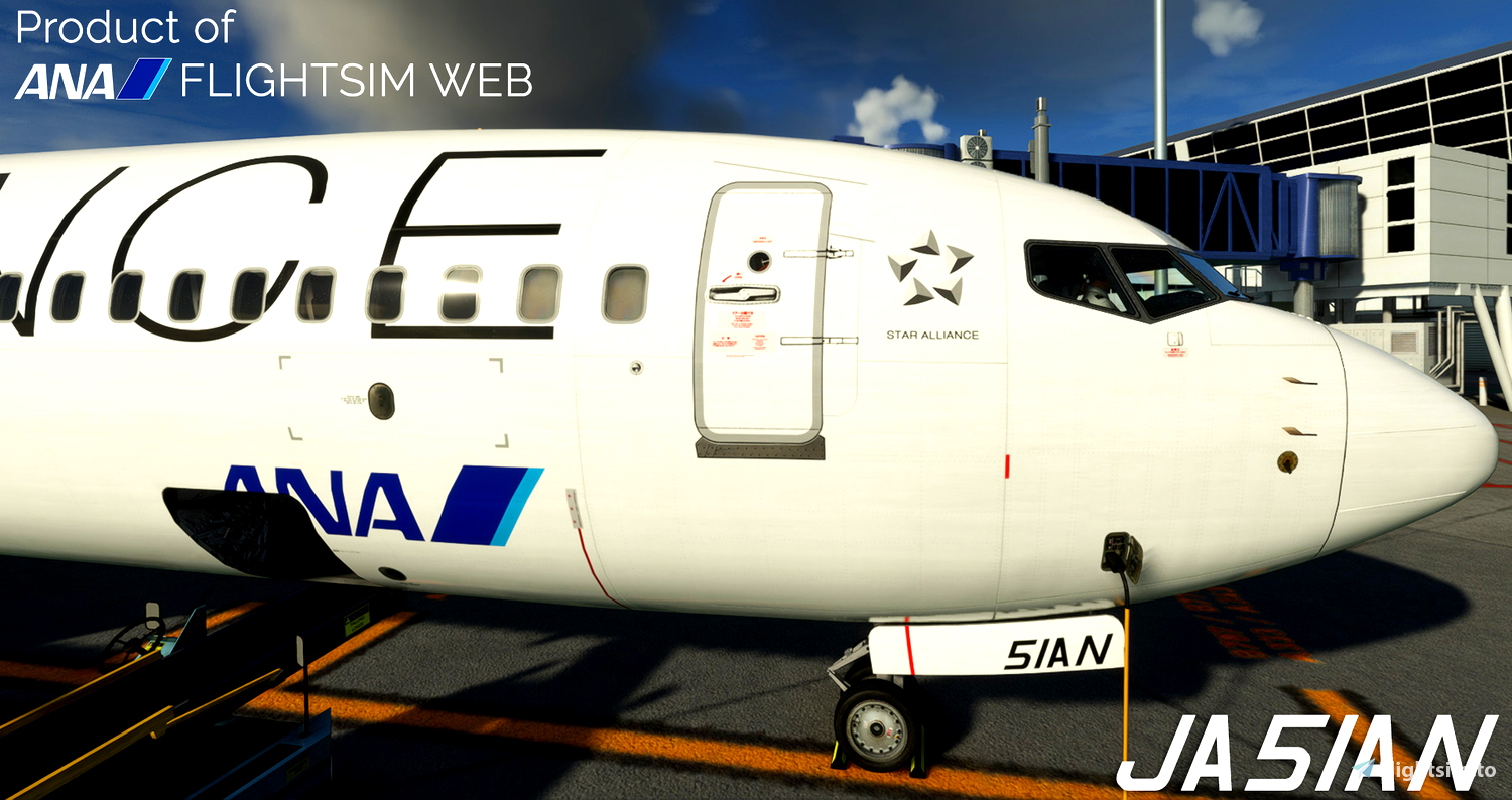 PMDG Boeing 737-800 Liveries for Microsoft Flight Simulator | MSFS ...
