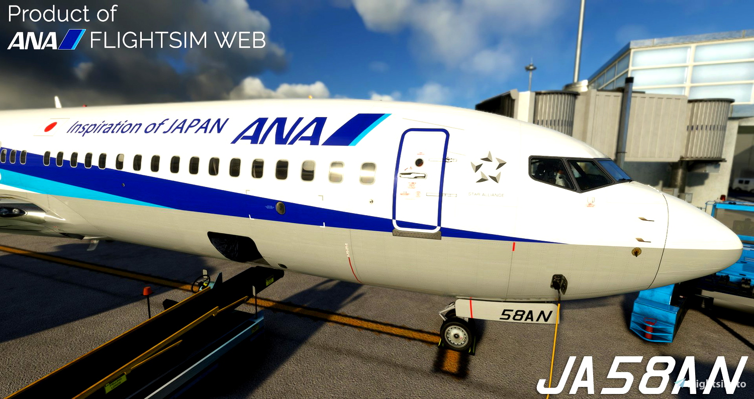 Liveries - PMDG Boeing 737-800 Add-Ons for Microsoft Flight Simulator ...