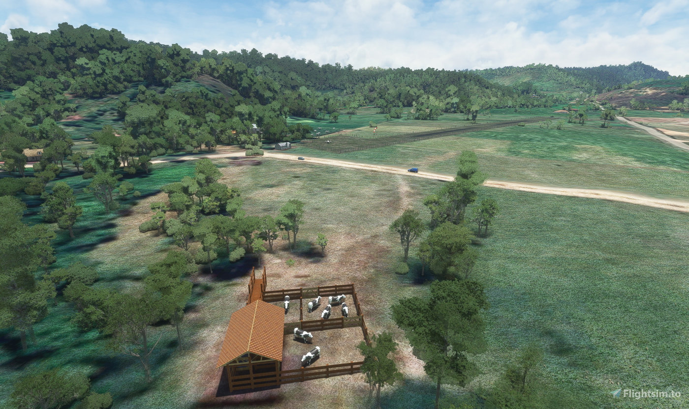 Poté Airstrip for Microsoft Flight Simulator | MSFS