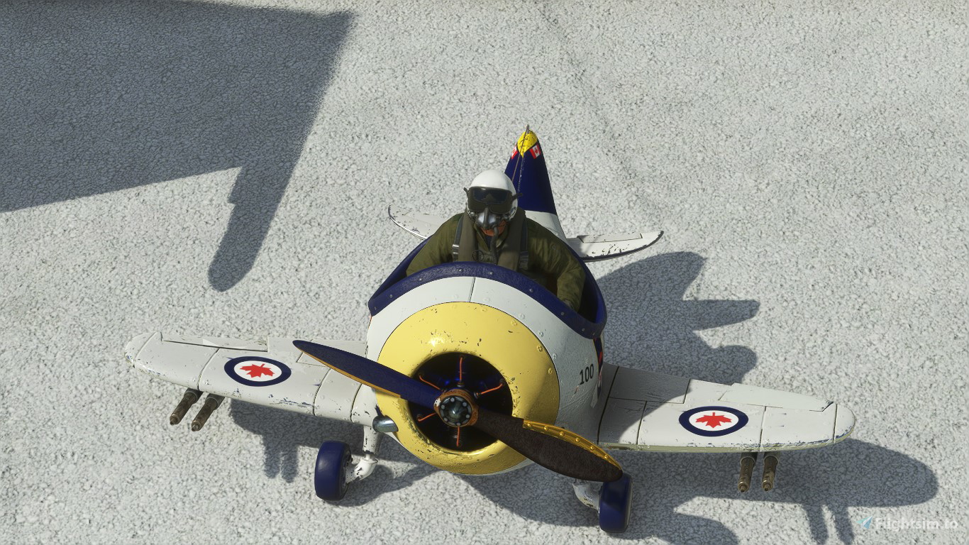 RCAF 100th Anniversary Mystery Box for Microsoft Flight Simulator | MSFS