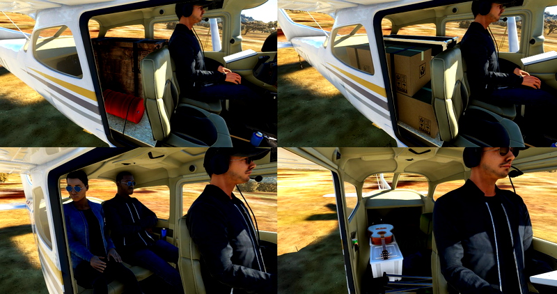 FR172 REIMS ROCKET / CESSNA R172 HAWK XP II for Microsoft Flight ...