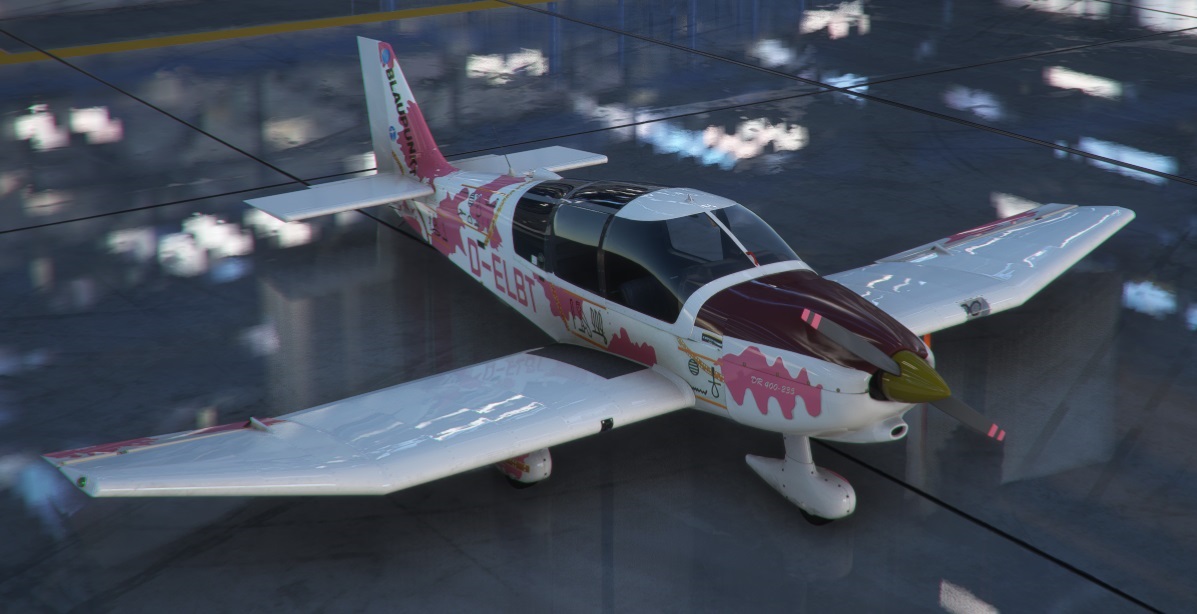 Robin DR400 D-ELBT (old colors) for Microsoft Flight Simulator | MSFS