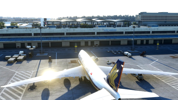 PAKT gsx profile for Microsoft Flight Simulator | MSFS