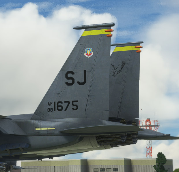 Seymour Johnson F-15E tails pack for Microsoft Flight Simulator | MSFS