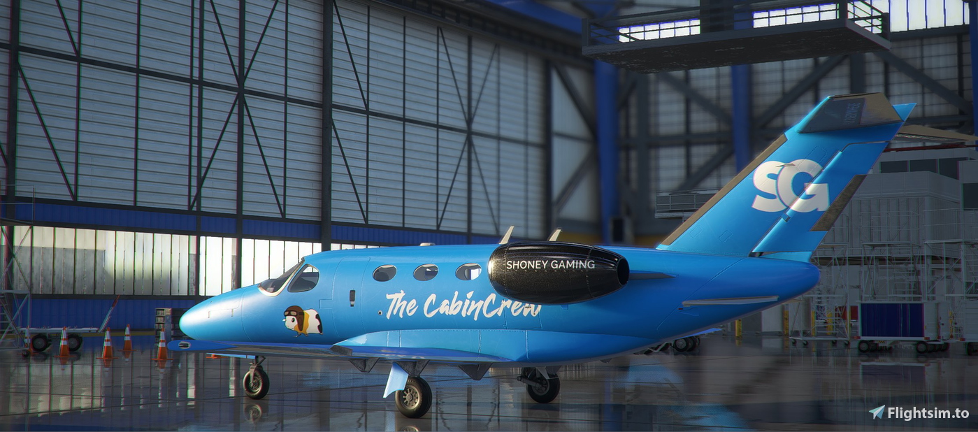 Shoney Gaming Cockspur C510 Mustang for Microsoft Flight Simulator | MSFS