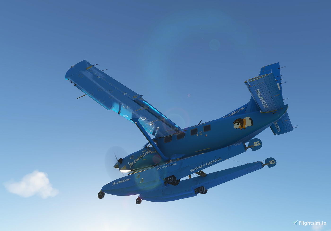 Shoney Gaming Floatiak para Microsoft Flight Simulator | MSFS