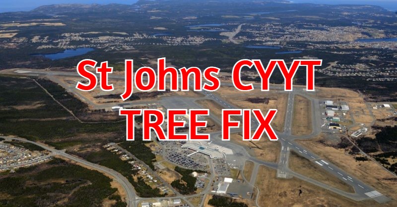 (UNSUPORTED) St Johns CYYT Tree fix for Microsoft Flight Simulator | MSFS