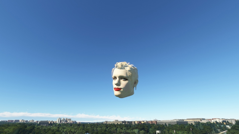 The Flying head livery, FlyingSwissLady001 for Microsoft Flight ...