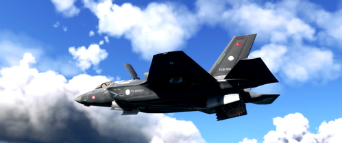 Turkish Navy / Türk Deniz Kuvvetleri F-35B TCB-901 » Microsoft Flight ...