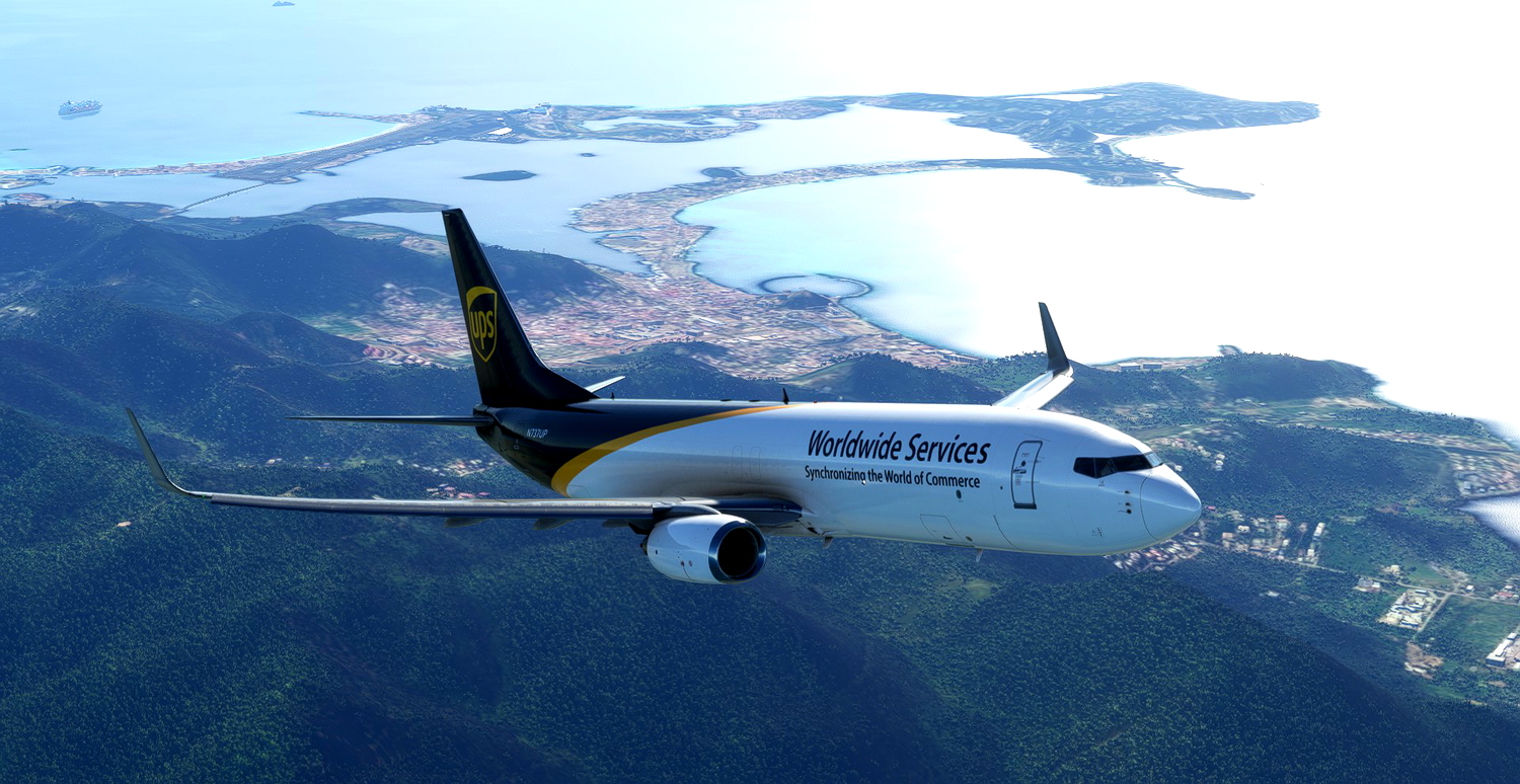 PMDG Boeing 737-800 Liveries for Microsoft Flight Simulator | MSFS ...