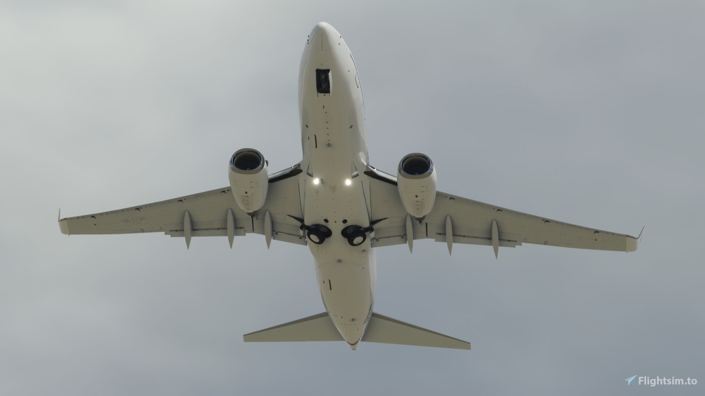 US Air Force (02-0202) - PMDG 737-BBJ (C40) for Microsoft Flight ...