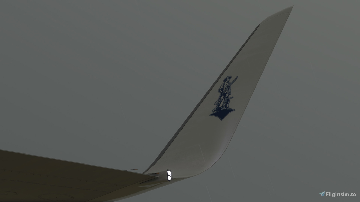 US Air Force (02-0202) - PMDG 737-BBJ (C40) for Microsoft Flight ...