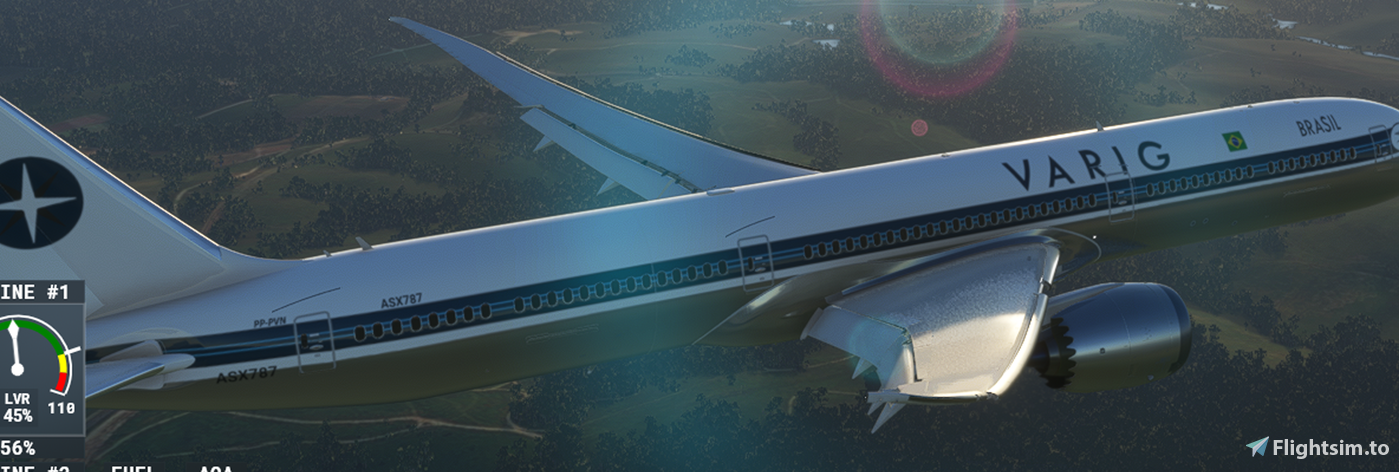 VARIG OLD 787 COLORS for Microsoft Flight Simulator | MSFS