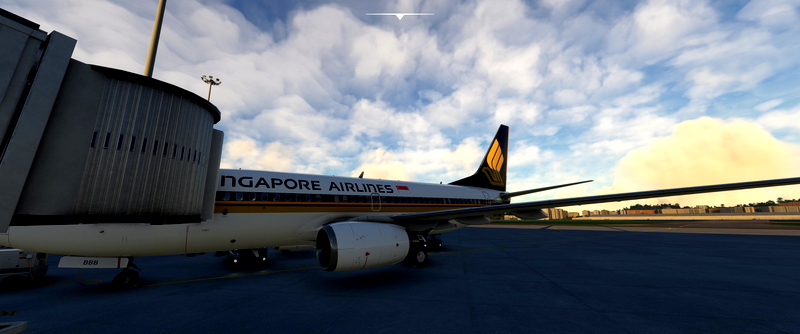 VTSG gsx profile 对于 Microsoft Flight Simulator | MSFS