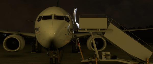 PAKT gsx profile for Microsoft Flight Simulator | MSFS