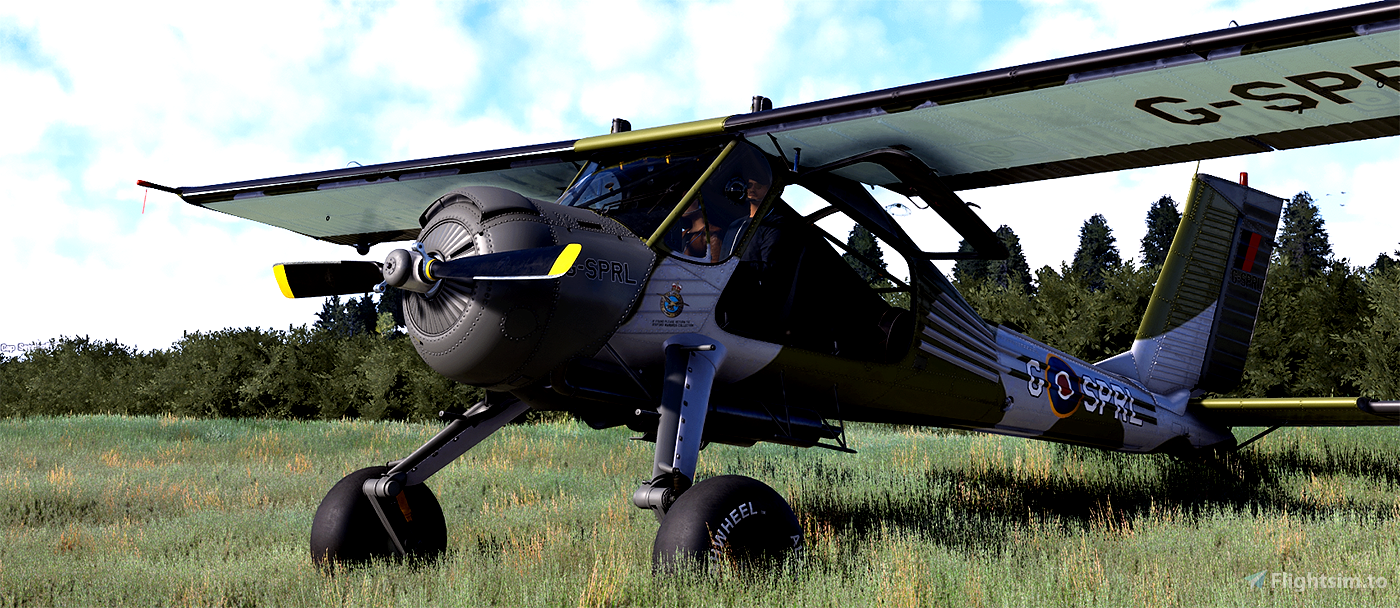 Discover & Search - Flightsim.to