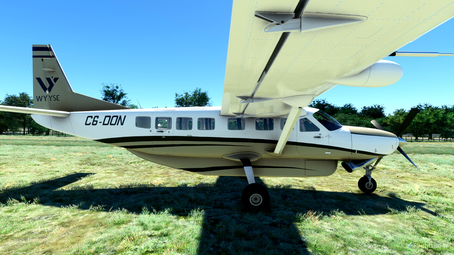 Cessna 208 B Liveries for Microsoft Flight Simulator | MSFS | Flightsim.to