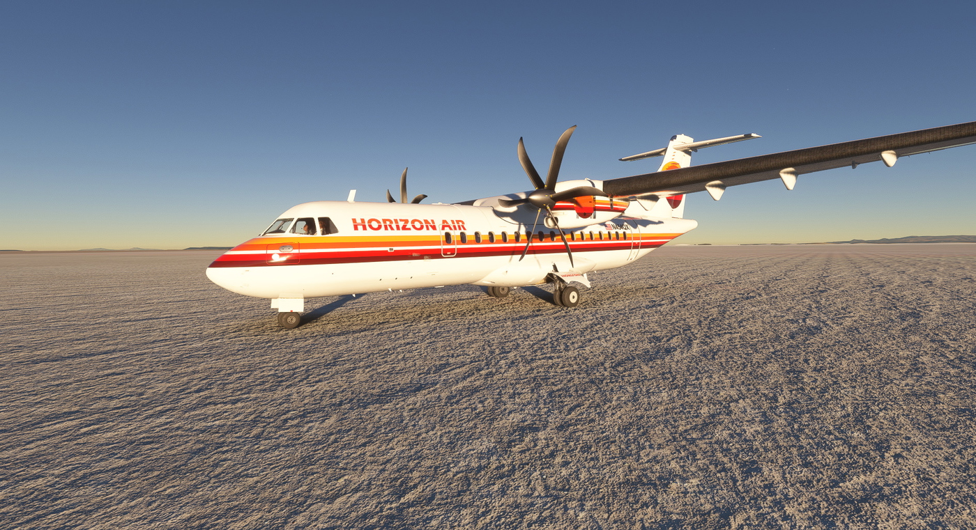 ATR 42-600 Horizon 'Meatball' Livery 对于 Microsoft Flight Simulator | MSFS