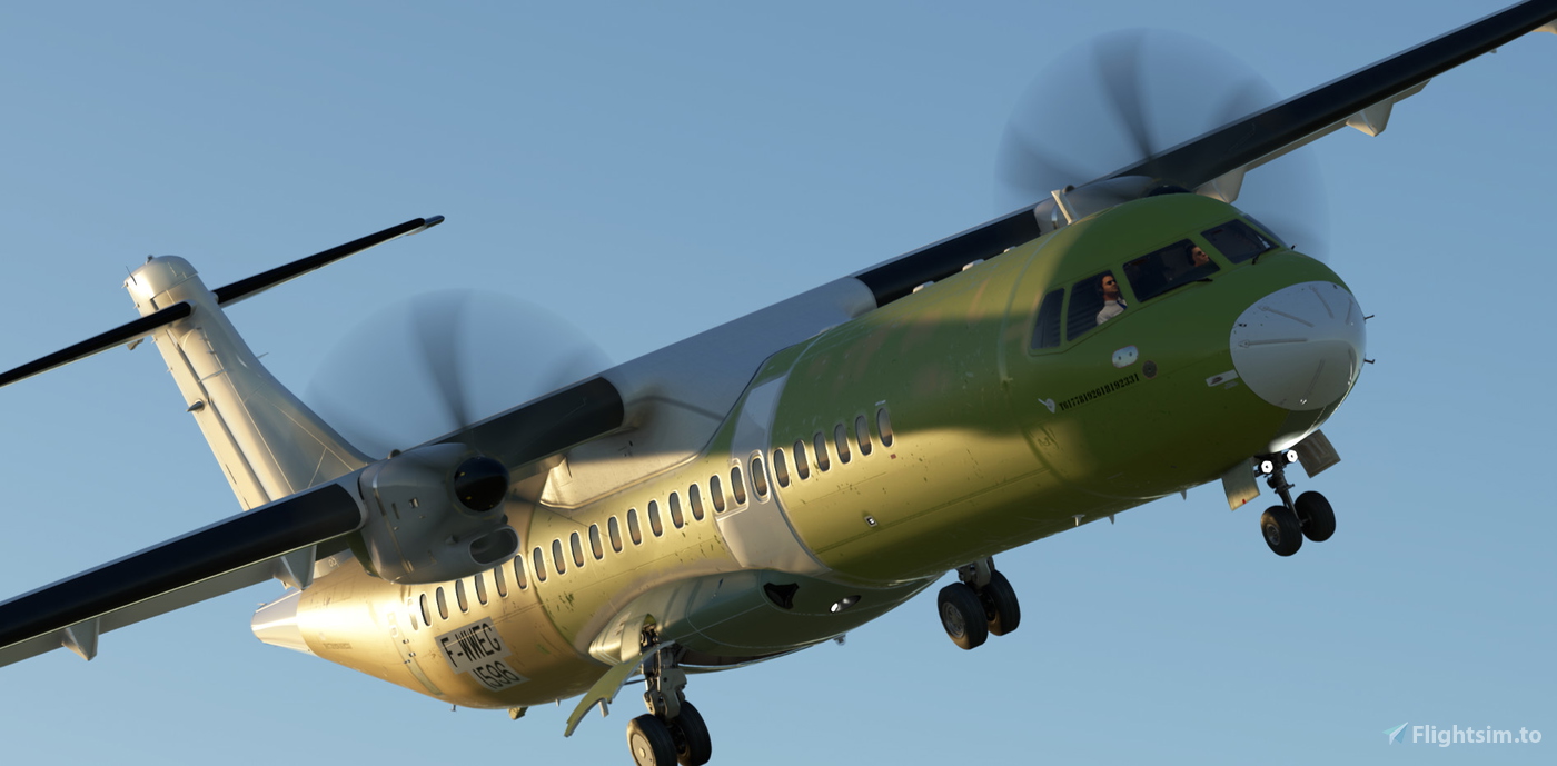 ATR Test REG F-WWEG for Microsoft Flight Simulator | MSFS
