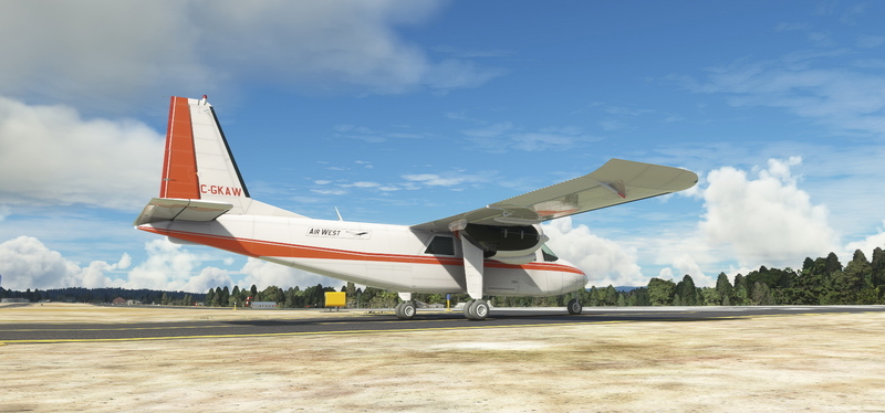 BN2 Islander Liveries for Microsoft Flight Simulator | MSFS