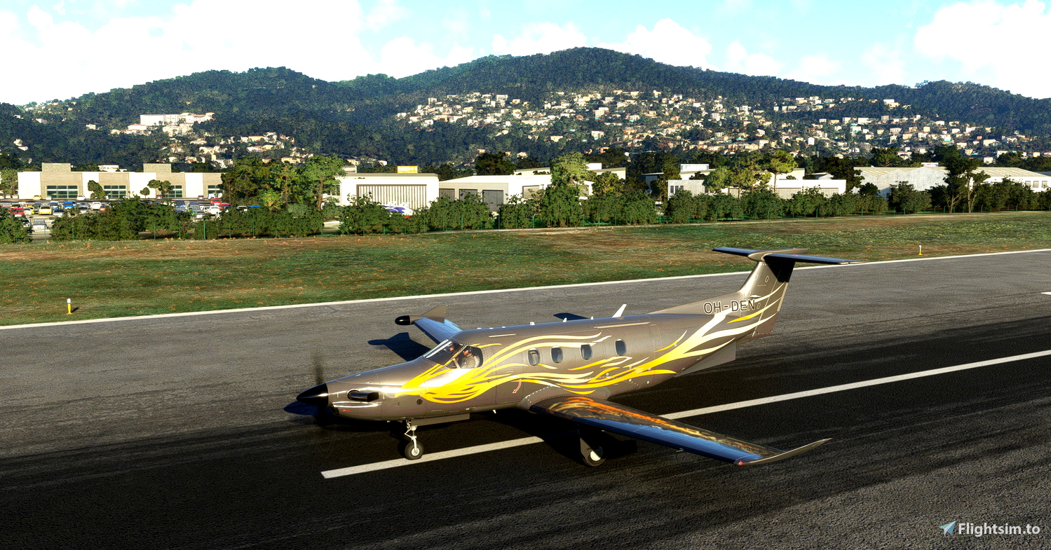 Carenado PC12 Liveries for Microsoft Flight Simulator | MSFS | Flightsim.to
