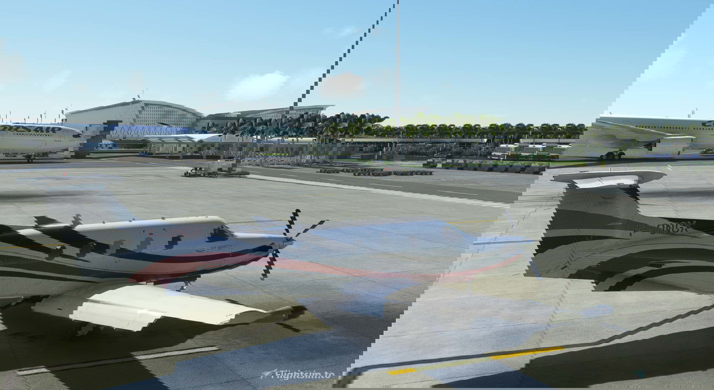 CARENADO PILATUS PC12 "ST BARTH EXECUTIVE" F-ONGX for Microsoft Flight Simulator | MSFS