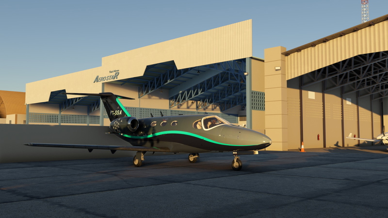 Cockspur C510 Mustang Liveries for Microsoft Flight Simulator | MSFS