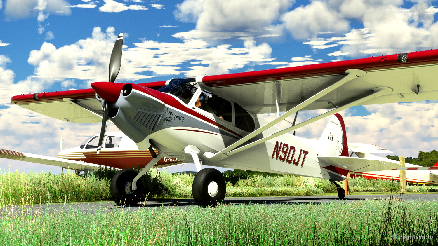 Cub Crafter X-Cub Liveries for Microsoft Flight Simulator | MSFS ...